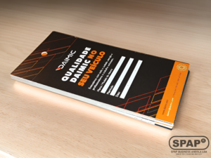 DAIMIC MOTORS LDA - Spap